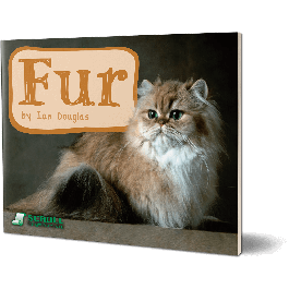 Fur | Booksforlittletykes - Buy Reading Books & Workbooks for Children ...