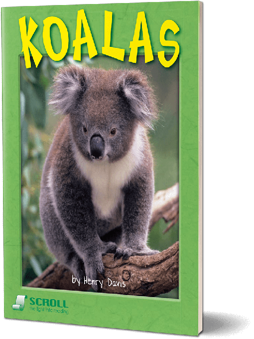 Koalas | Booksforlittletykes - Buy Reading Books & Workbooks for ...